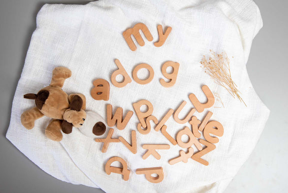 Birch Alphabets and Numbers - Combo Set of 62 pieces – birchandbug